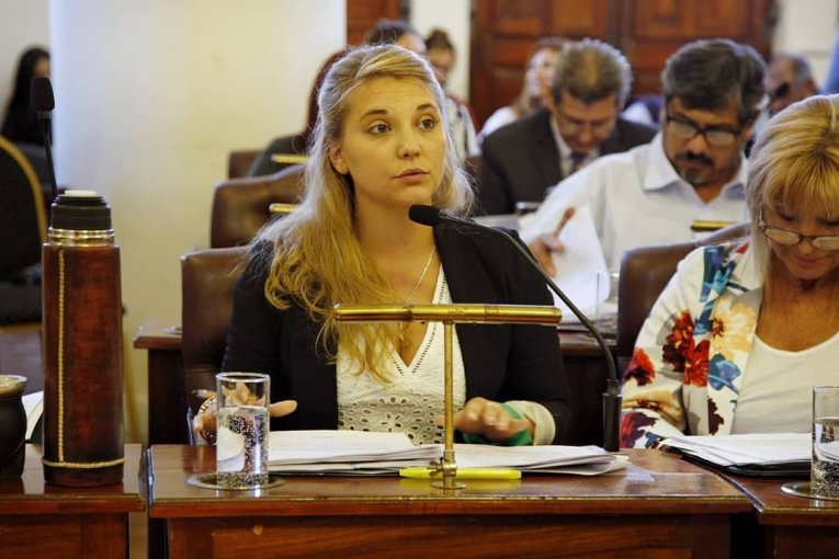 Quién es la diamantina que remplazará a Stefanía Cora en la Cámara Baja ...